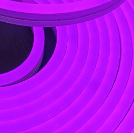 Flex Neon color 12V 5M viola Ingrosso e Dettaglio